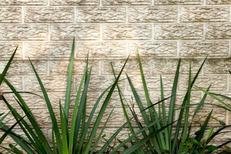 20+ Modern Compound wall design ideas (Patterns & Photos)